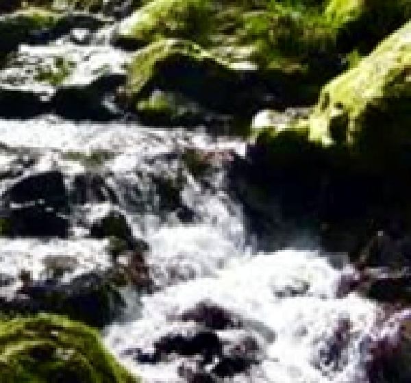 ギャル曽根は偉大です！: 十八番はBoys&Girls